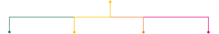 SACHA Group Company History & Milestones | Our Journey of Innovation